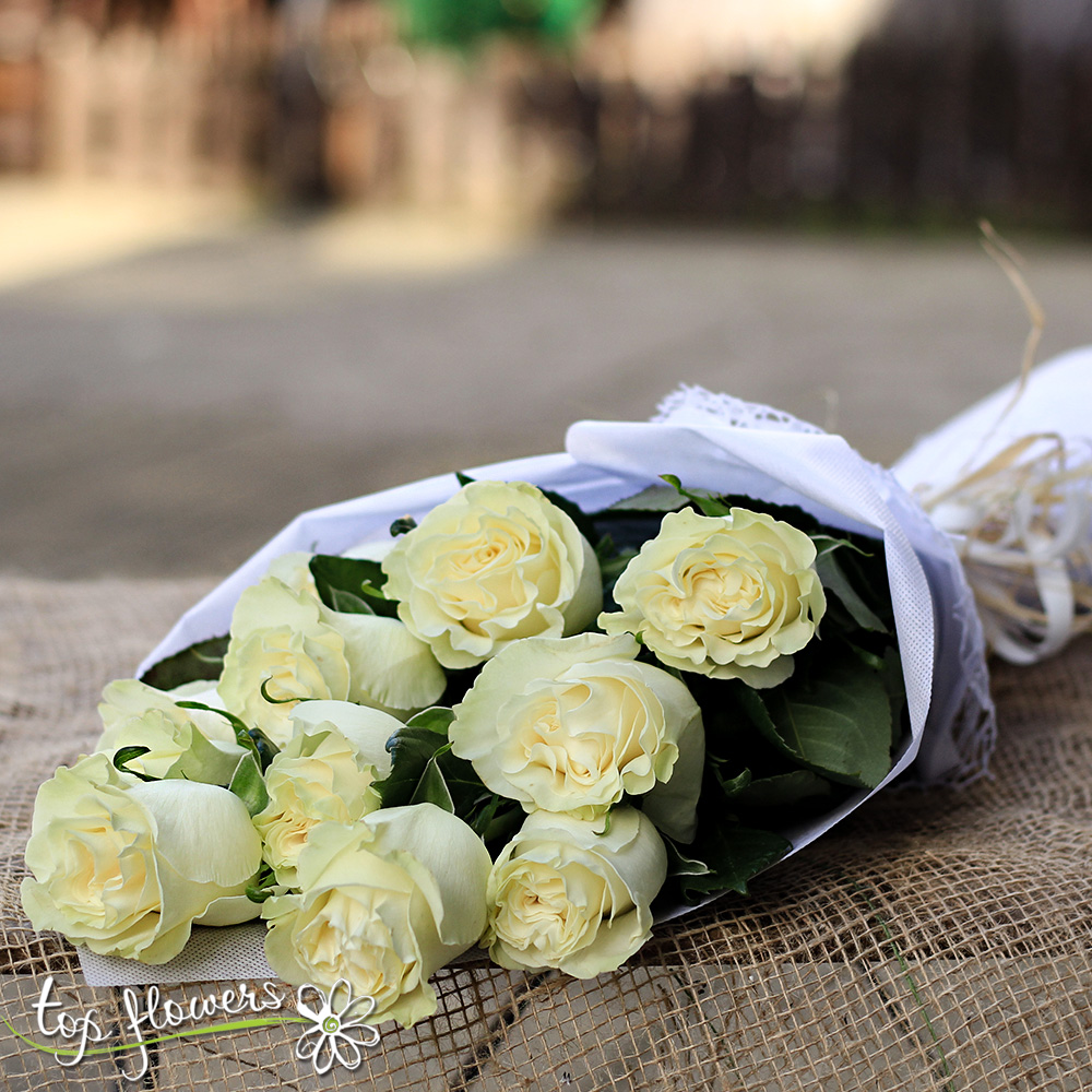 Dendrobium Orchid | Different colors. Top-Flowers fresh flowers