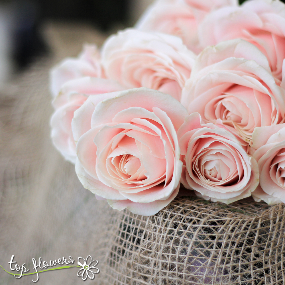 Класически букет от 11,15 или 21 розови рози. Доставка от Top-Flowers