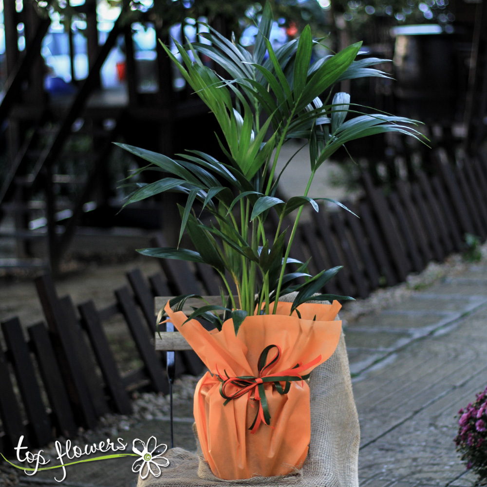 Букети и аранжировки | Top Flowers.com